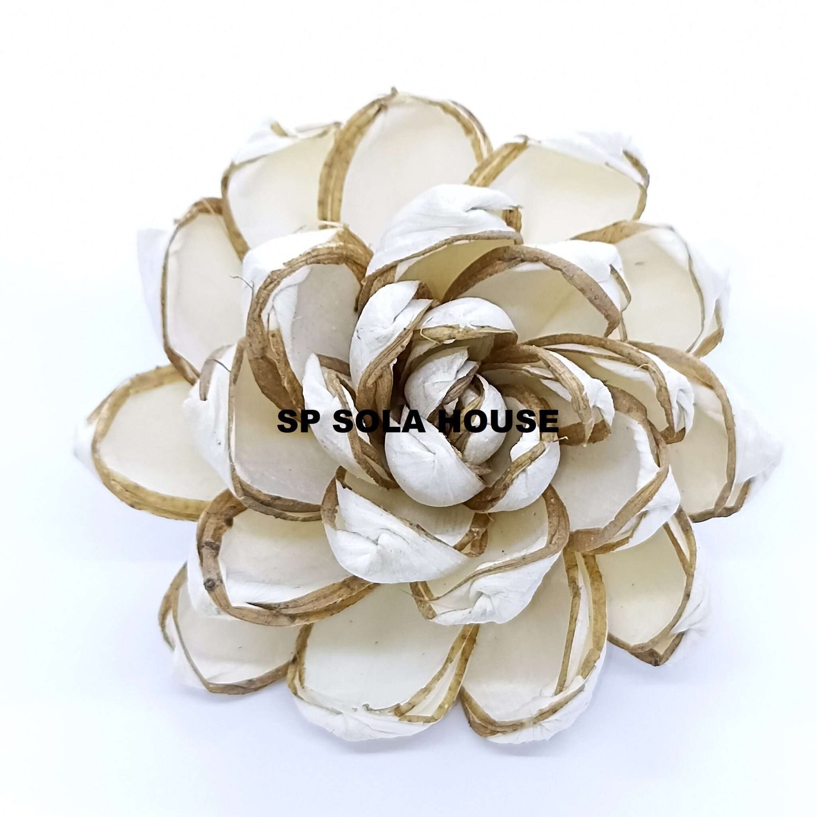Sola Wood Flowers Beti Lotus - Sola Flower Export