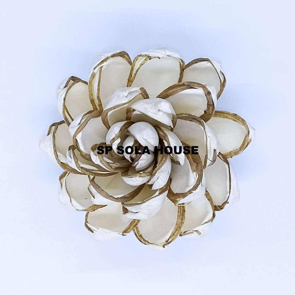 Sola Wood Flowers Beti Lotus - Sola Flower Export