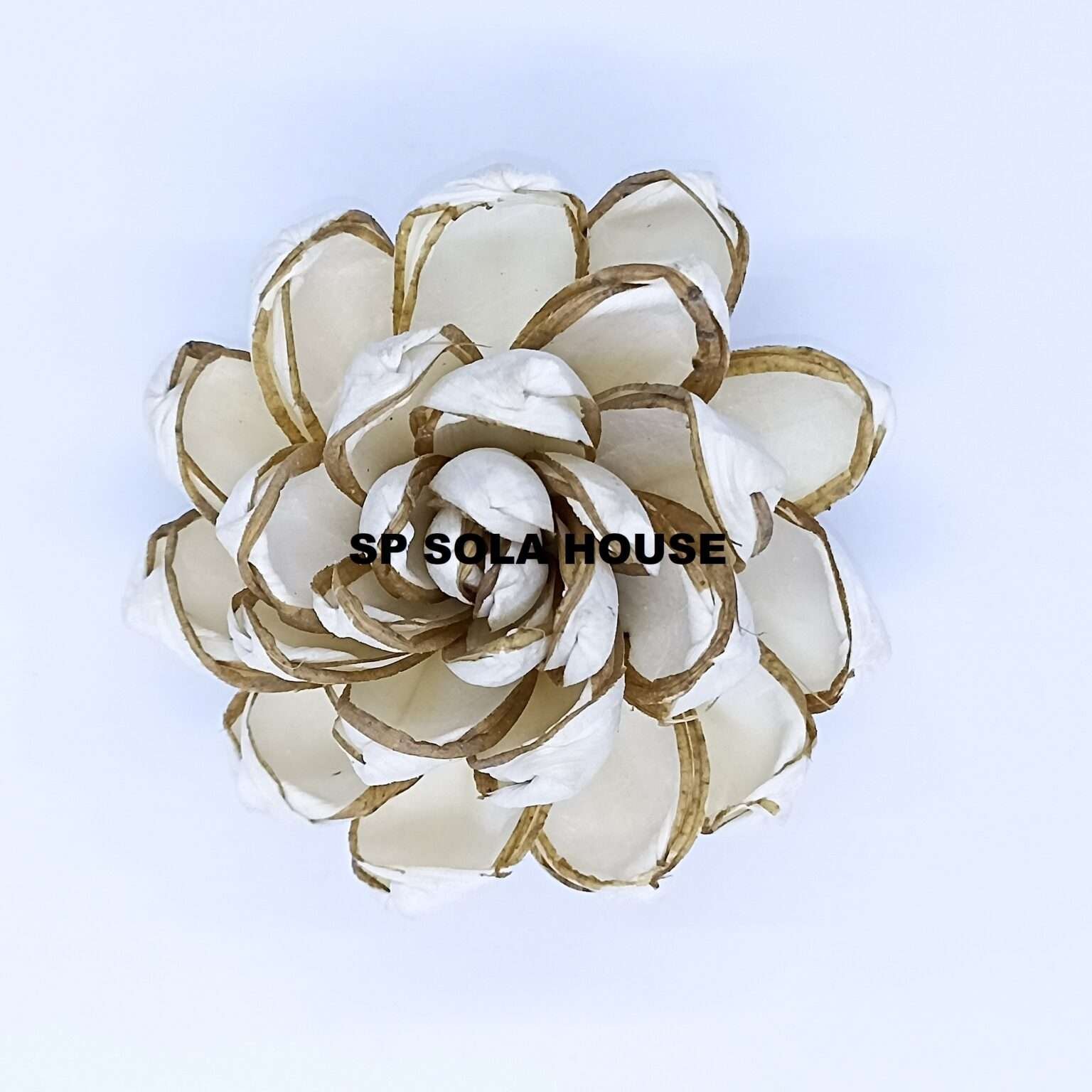 Sola Wood Flowers Beti Lotus - Sola Flower Export