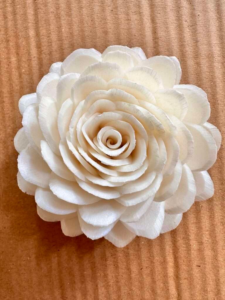 Chip Rose - Sola Flower Export