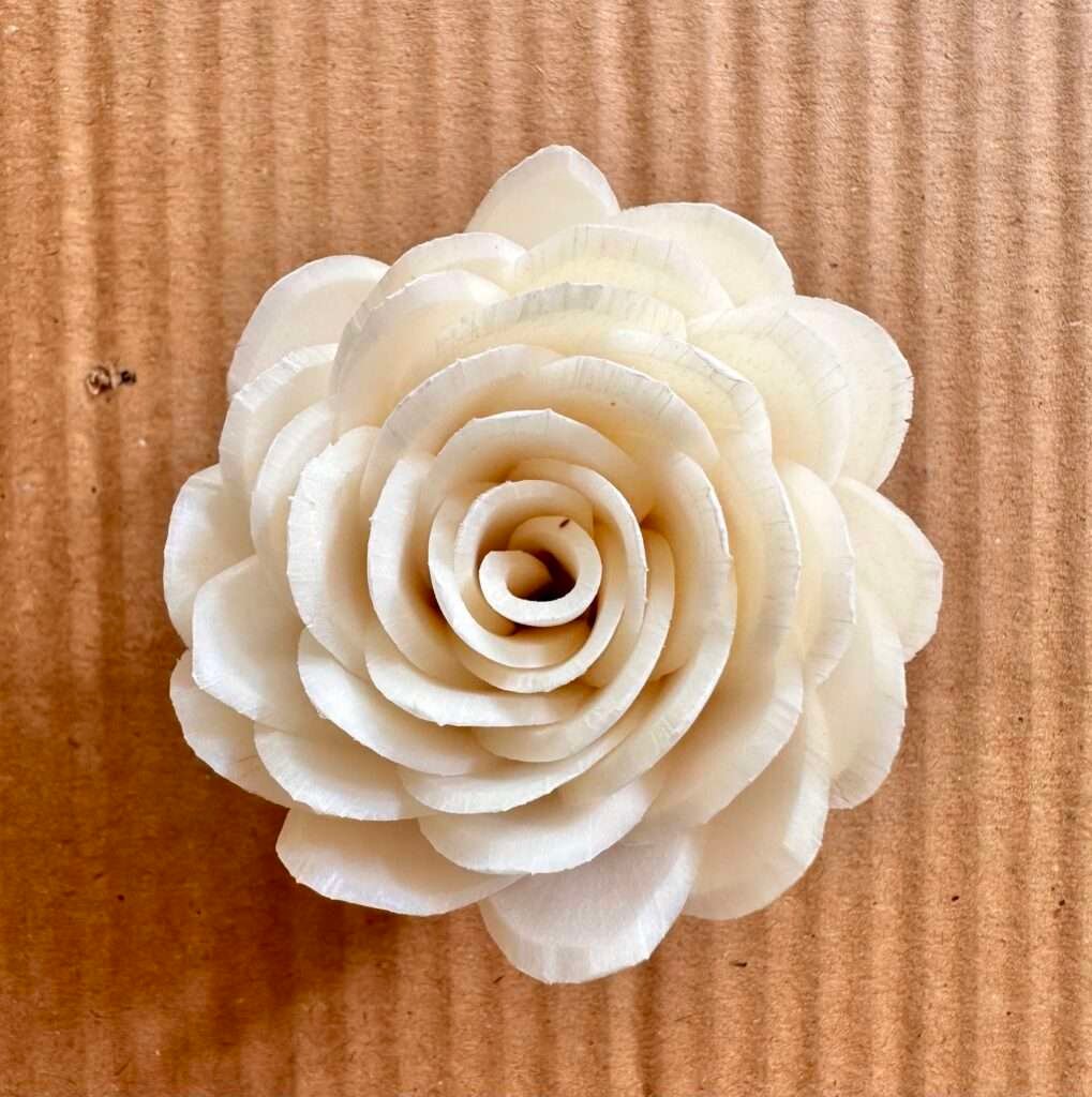 Chip Rose - Sola Flower Export