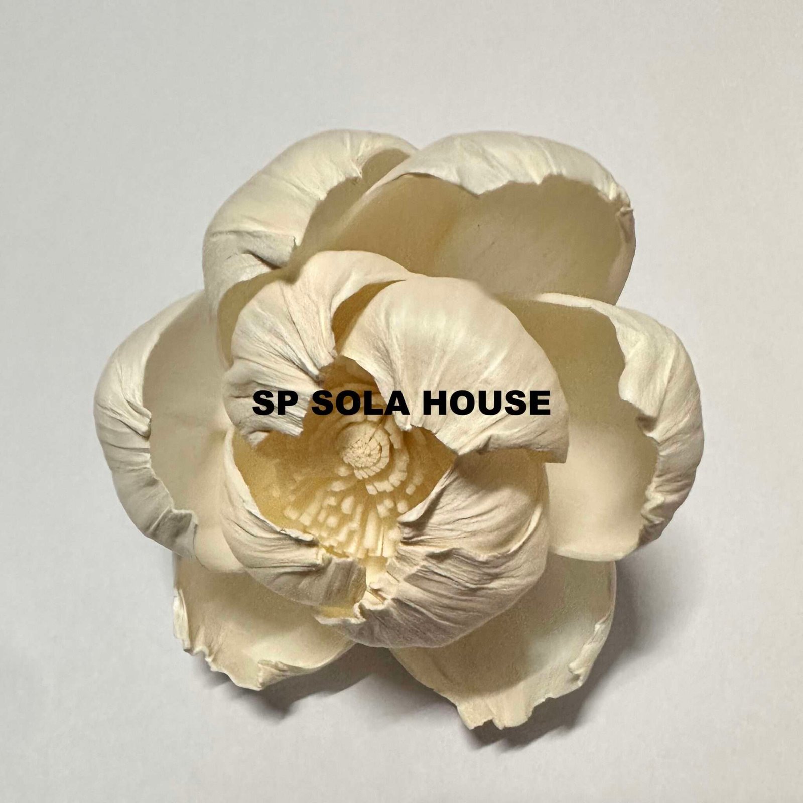 Open Peony Sola Flower - Sola Flower Export