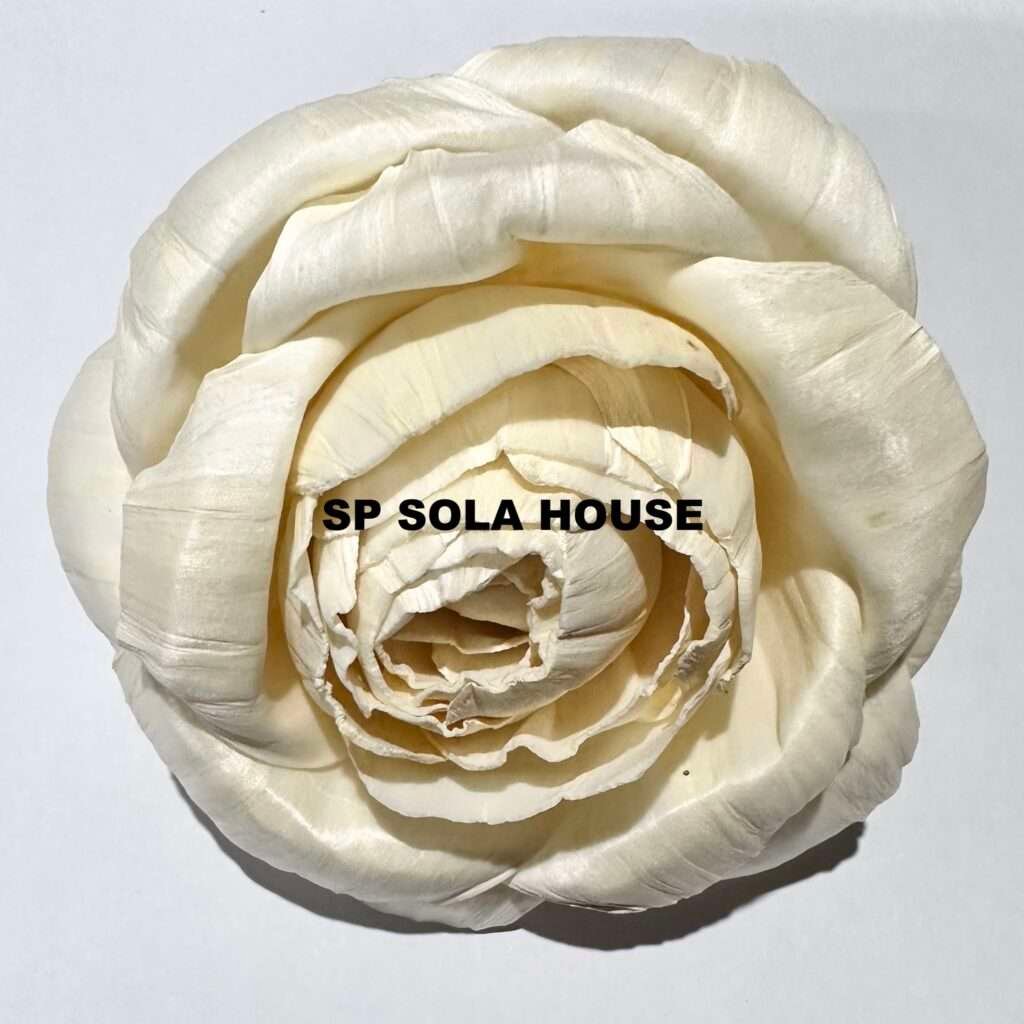 New Classic Rose Flower - Sola Flower Export