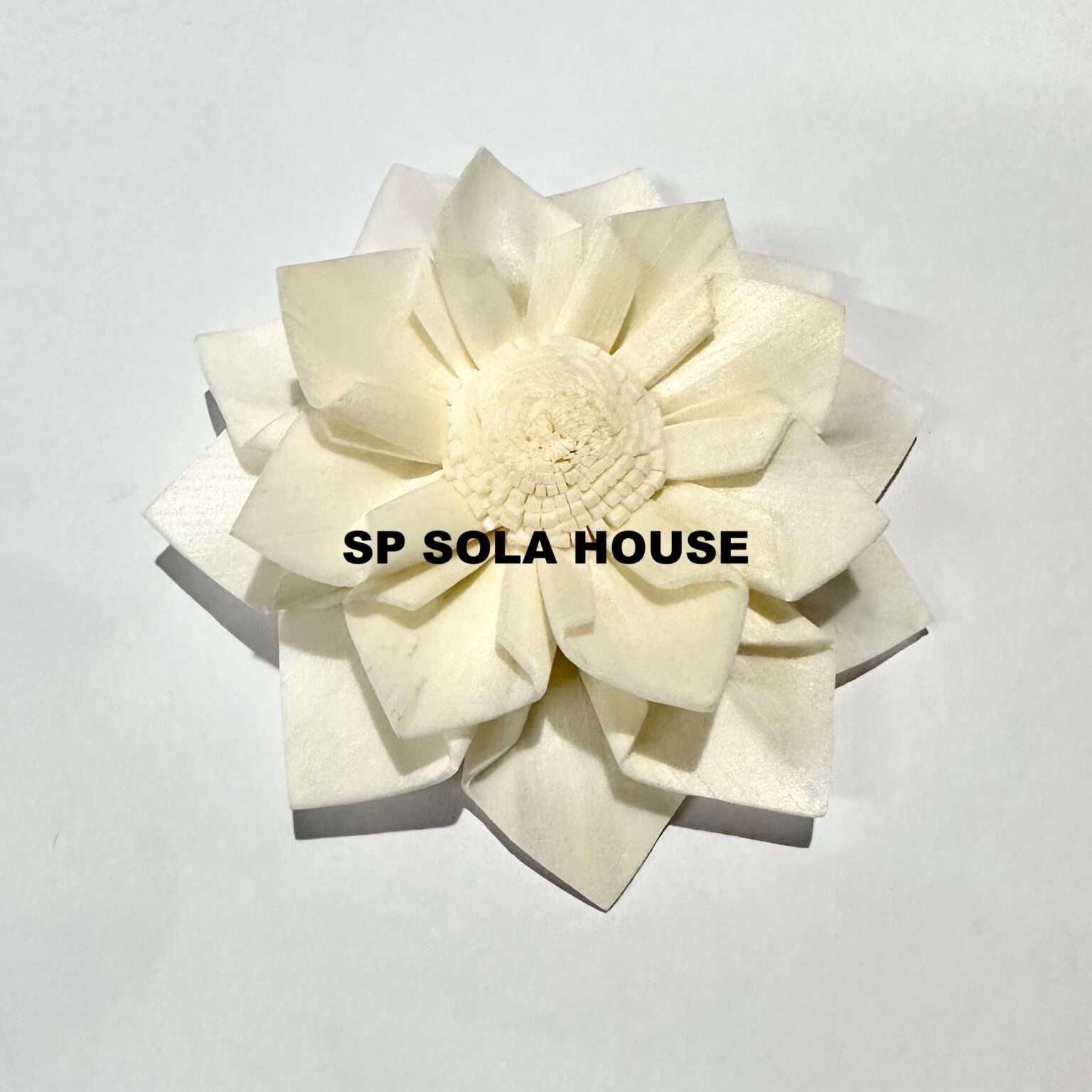 Sola Wood Flowers - Sola Flower Export