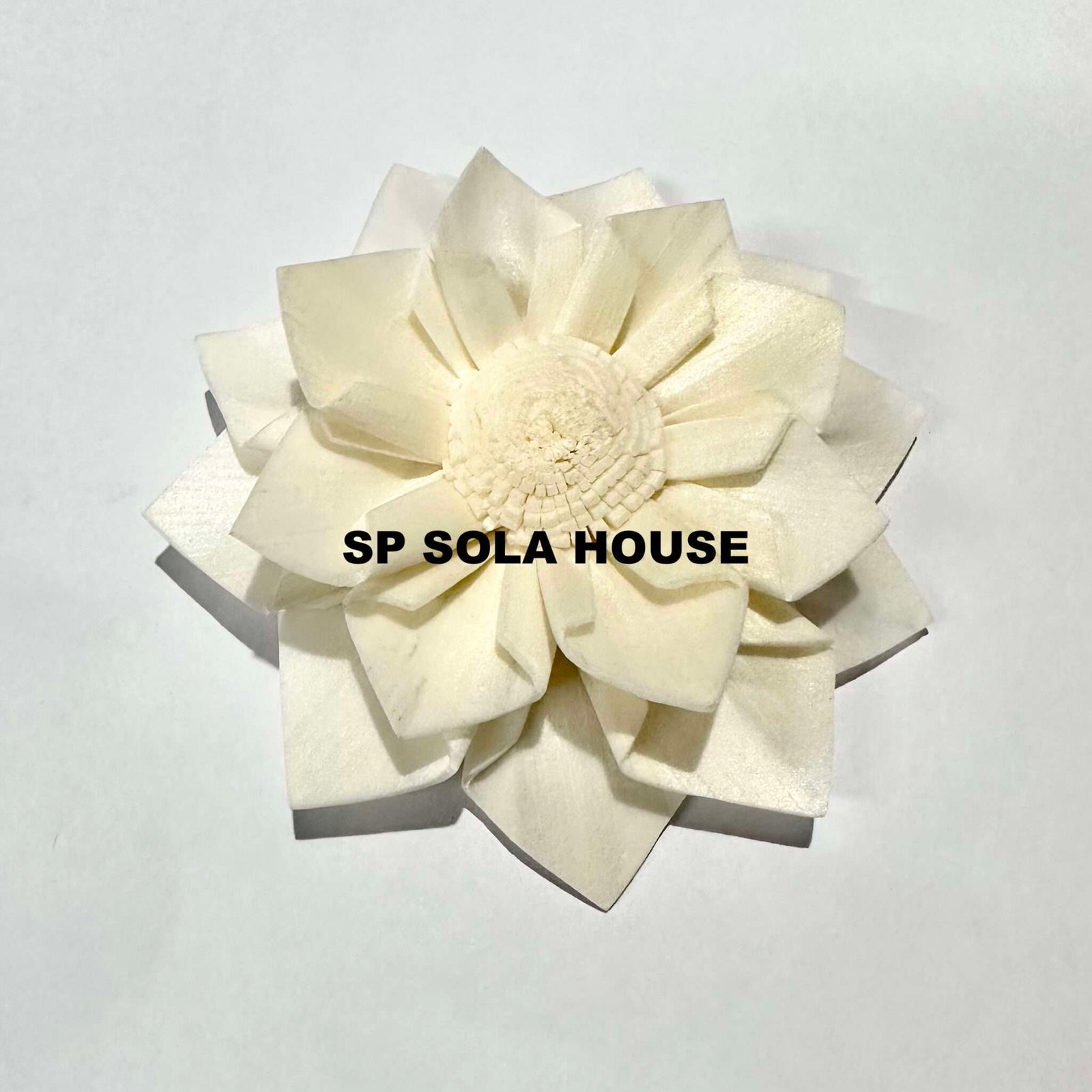 Flat Dahlia Sola Flower - Sola Flower Export