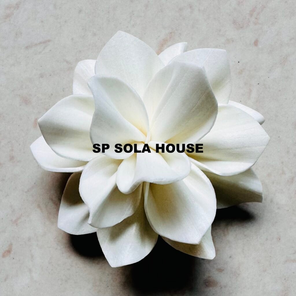 Sola Wood Flowers - Sola Flower Export