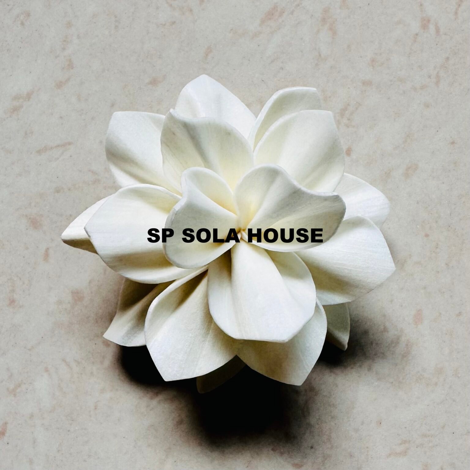 Bougainvillea Sola Flower - Sola Flower Export