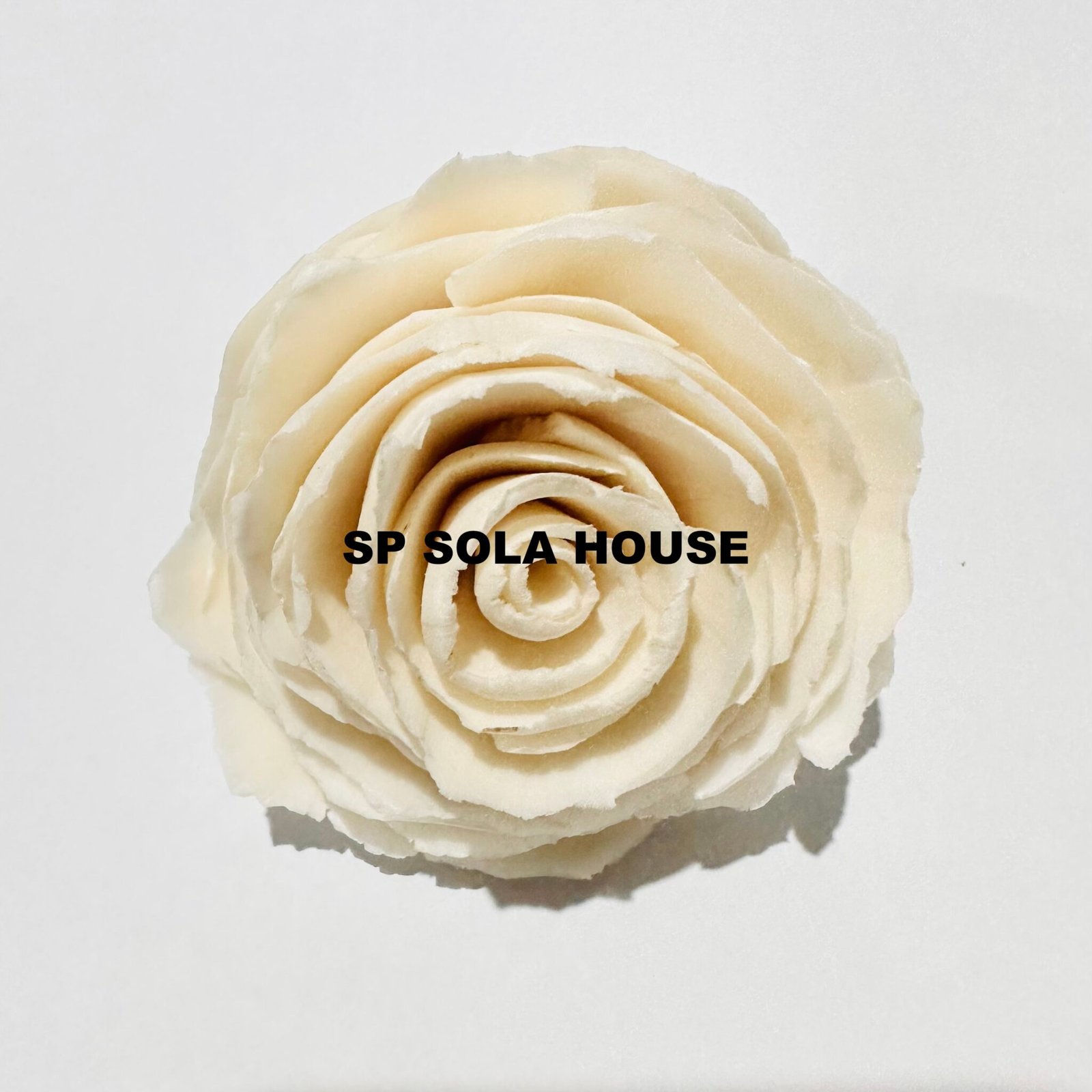 Helena Sola Flower - Sola Flower Export